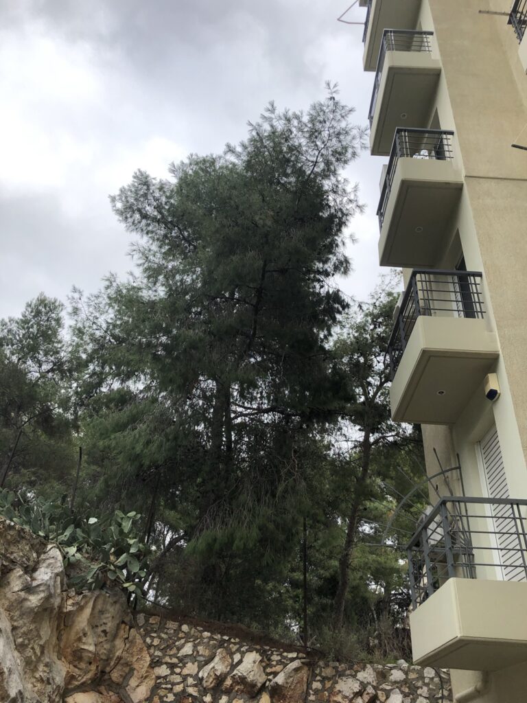 ΜΑΡΜΑΡΑ, ΚΑΜΑΤΕΡΟ | Karpouzos